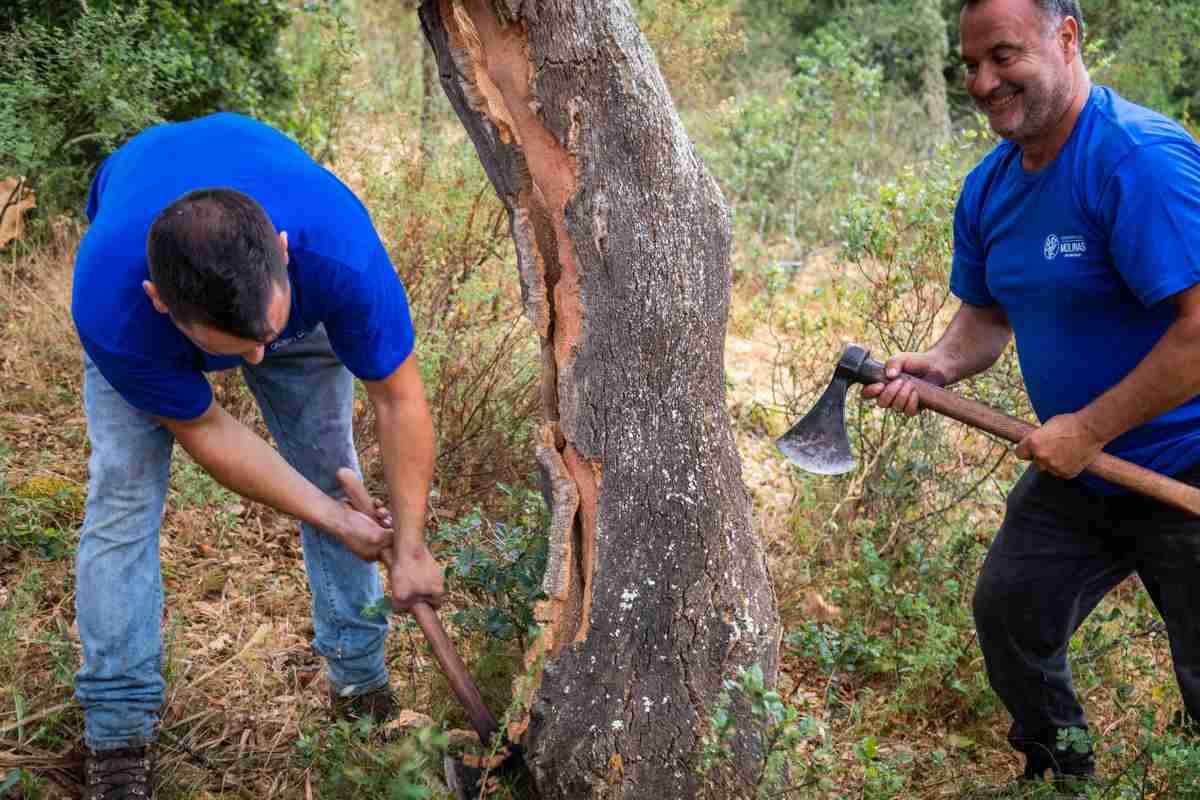 UN MONDO DI SUGHERO. IN SARDEGNA - Le pagine del vino