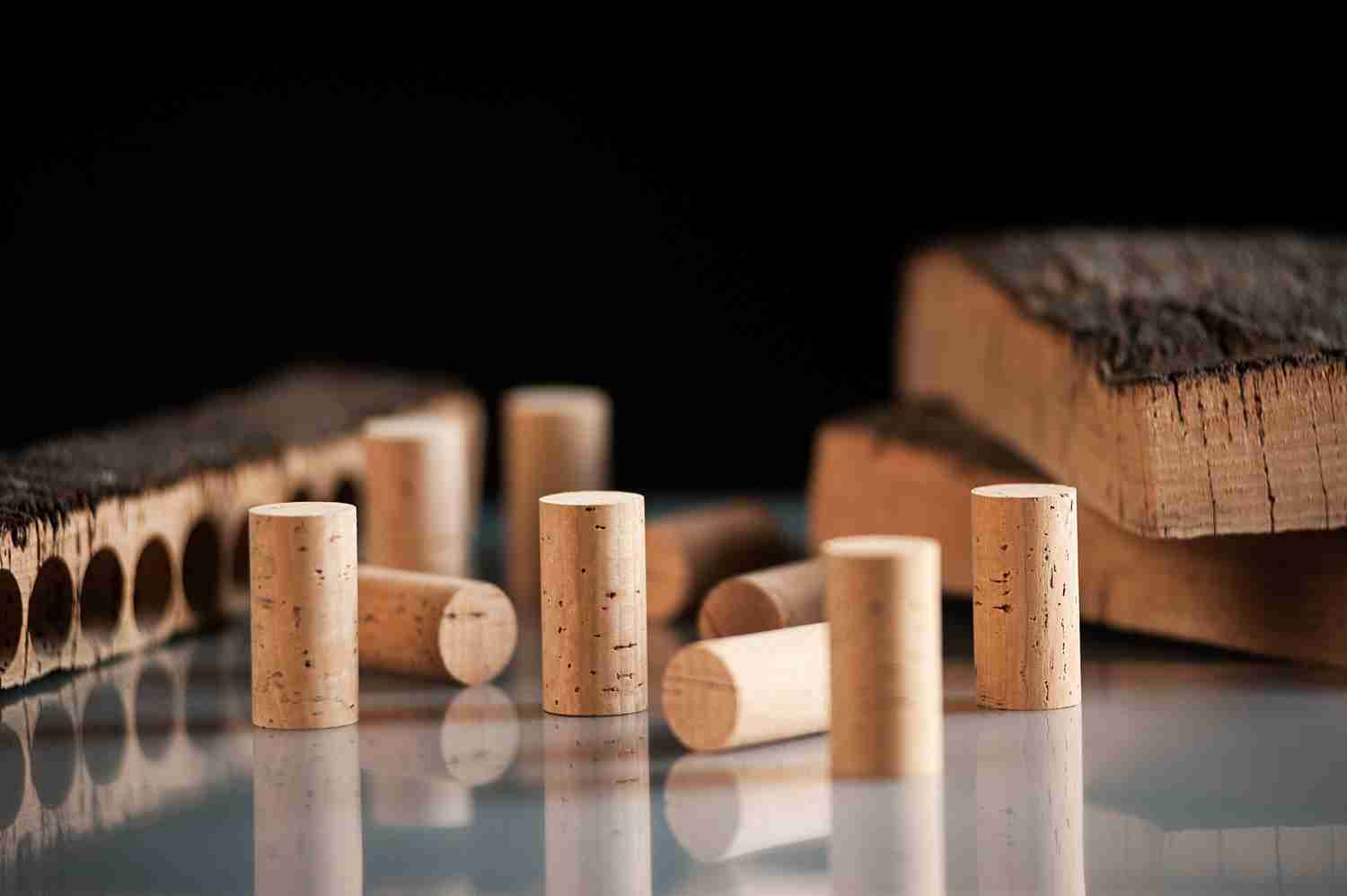 UN MONDO DI SUGHERO. IN SARDEGNA - Le pagine del vino